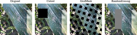 Frontiers Improved Efficientnet For Corn Disease Identification