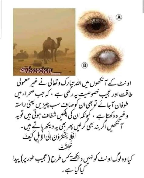 Muhammad Mudassir Khan Shirwani Posted On Linkedin