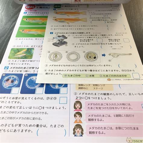 シ75 非売品 基礎基本理科apプラス 5年生 学習 問題集 ドリル 小学 テキスト テスト用紙 前期 文章問題 家庭学習 2学期制 明治図書