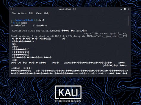 Pico Ctf Wave A Flag General Skill Mr Shan Medium