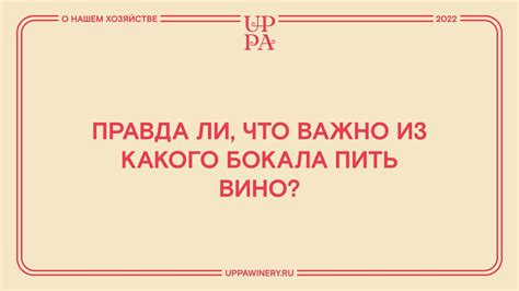 Правда ли что важно из какого бокала пить вино Youtube