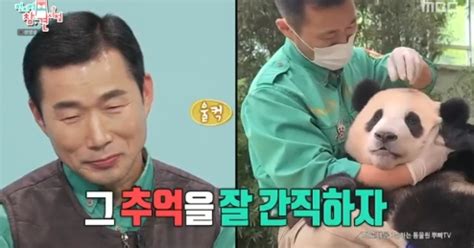 강철원 사육사 푸바오 벚꽃 피기 전 中 갈 것행복하길전참시 종합