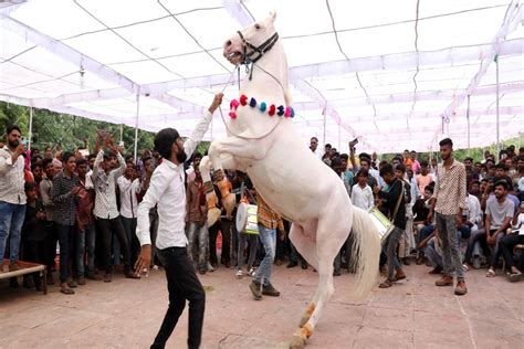 Maharan Pratap केसरियामयी हुआ मेवाड़रणबांकुरों की शान से निकली