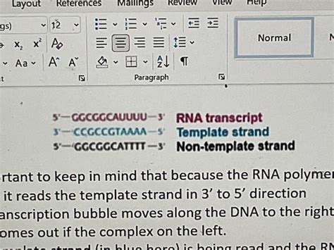 Gene Expression Flashcards Quizlet