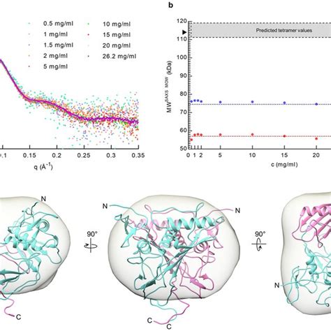 Epcams Function In Cell Cell Adhesion And Signalling A Epcam
