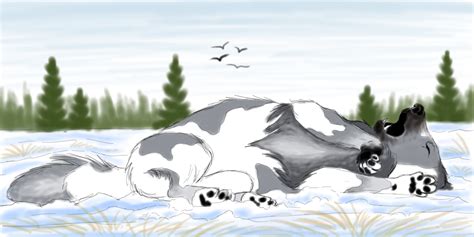 Rub My Belly By Sunkmanituthanka7 On Deviantart