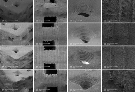 sem micrographs of the four scaffold materials rows top to bottom ha