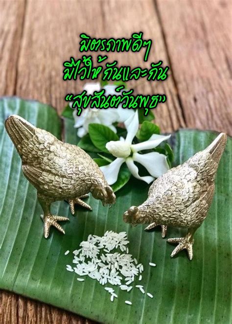 ปักพินโดย ตำลึง ริมรั้ว ใน ก พุธ วันพุธ ฝันดีราตรีสวัสดิ์ สวัสดีตอนเช้า