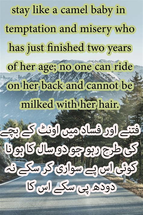 Hazrat Ali Quotes In English About Success