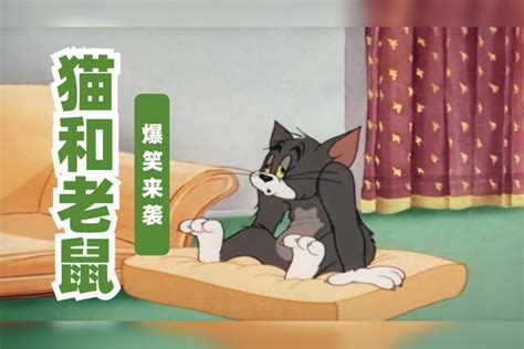 猫和老鼠：狗子竟被汤姆吓得哇哇乱叫，这画面实在是太逗了汤姆画面