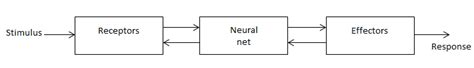 Figure Shows Block Diagram Of A Nervous System Download Scientific