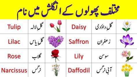 Flowers Names In Urdu And English With Pictures Youtube
