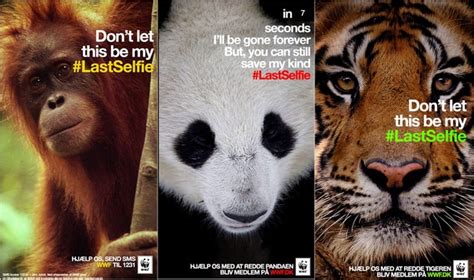 17 Creative Examples Of Nonprofit Marketing Campaigns Visual Learning