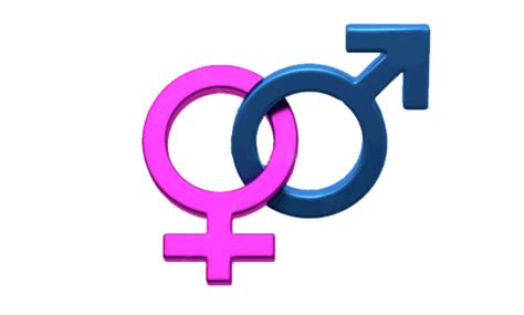 7 زمان مناسب برای داشتن رابطه ی جنسی