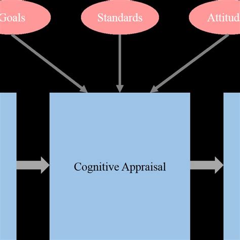Influence Of Goals Standards And Attitudes In Cognitive Appraisal