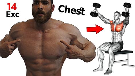 Chest Workout This Exercises Is Very Useful For Building A Perfect