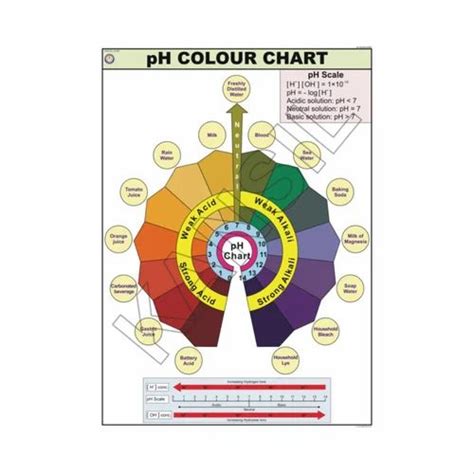 White Laboratory Safety Charts At Rs 120piece In Ambala Id