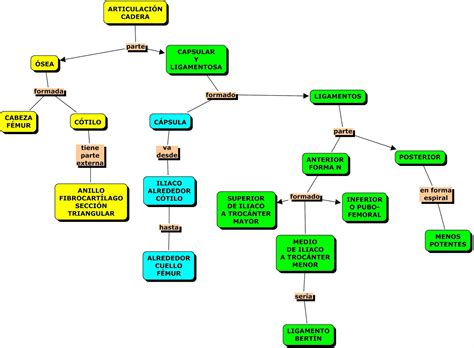 Sue O Grado Matem Ticas Mapa Conceptual De Anatomia Famoso Viento Rango