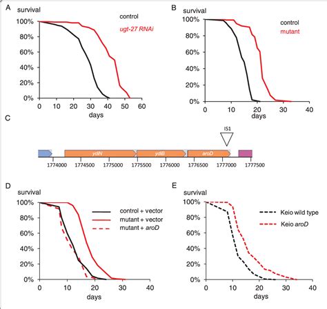 Figure 1 From Durham E Theses Excessive Folate Synthesis In Escherichia Coli And Its In Cid 29