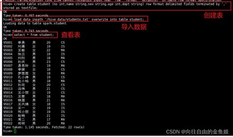 在虚拟机里怎么安装hive？hive与sql的交互应用虚拟机安装hive Csdn博客