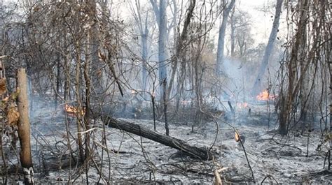 La Abt Activó 48 Procesos Penales En Santa Cruz Y Beni Por El Delito De
