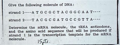 [get answer] give the following molecule of dna strand 1 a t g c g c t