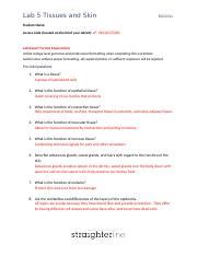 Exploring Tissues And Skin A Comprehensive Lab Study Course Hero