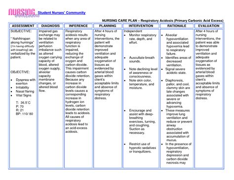 Nanda Nursing Diagnosis Safety