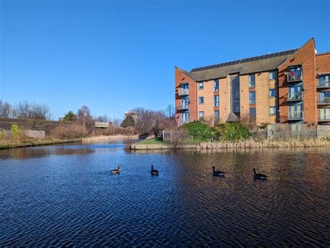 Aliyu G Y On Linkedin Cybera11y Inclusivesecurity