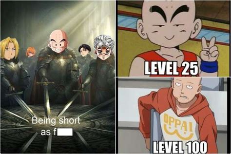 7 Meme Kocak Krillin Masuk Grup Tubuh Mungil Bareng Levi