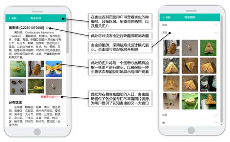 Github Jiang Taibaipest Identification Vue Ui