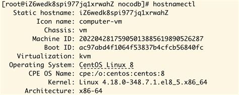 Bug Use The Command Docker Build Publish Image Compiled The