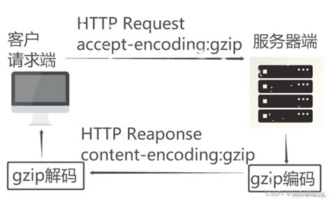 vue性能优化 gzip vue gzip csdn博客