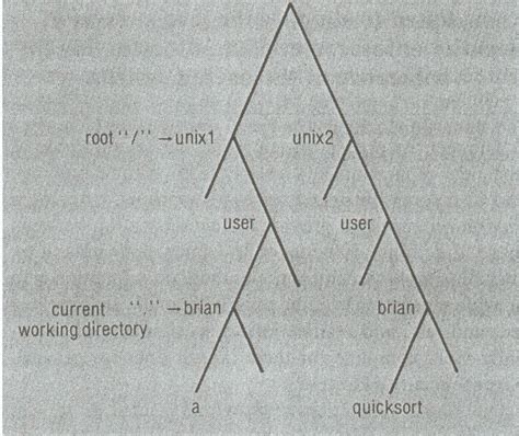 The Naming Structure Of A Simple Unix United System Download