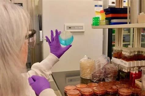 Chicken Microbiology Testing Laboratory Service In Navi Mumbai