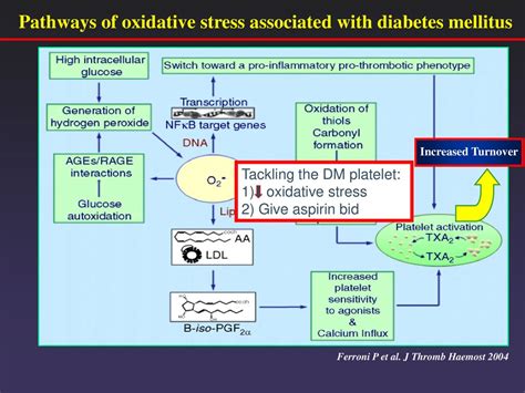 8th Platelet Colloquium Dddd8th Platelet Colloquium Ppt Download