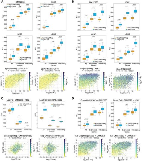 Chromatin Interactionaware Gene Regulatory Modeling With Graph Attention Networks