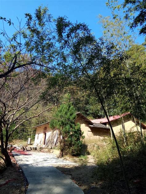 福建永定金砂鄉秀山村 每日頭條