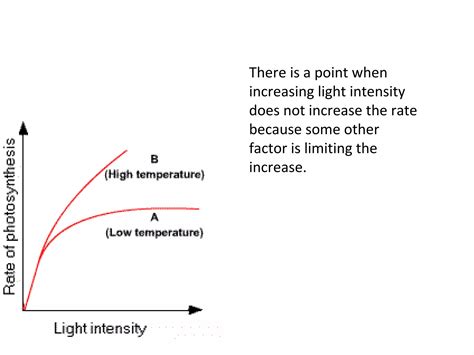 Factors Which Affect Photosynthesis Ppt Physics Science