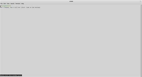 Embedded Programmer Screen Multitasking In The Command Line