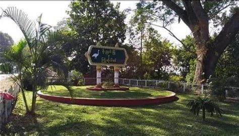 မိုးညှင်းမြို့နယ်၌ ရဲတပ်ဖွဲ့ပစ်ခတ်မှုကြောင့် နွားကျောင်းသား ၁ ဦး ဒဏ်ရာရ