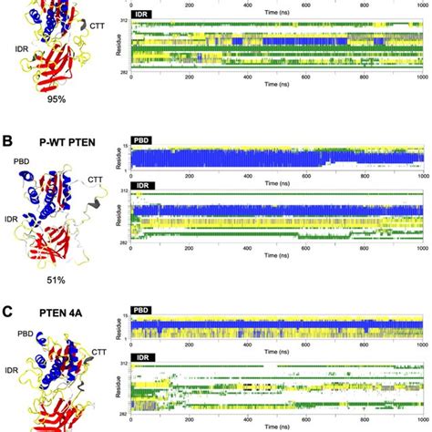 Secondary Structure Analysis Of A Wt Pten B P Wt Pten And C Download Scientific Diagram