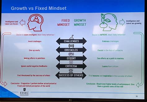 Inshirah H On Linkedin Growth Vs Fixed Mindset