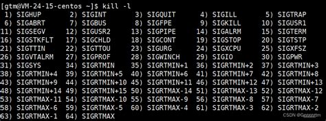 【linux从入门到精通】信号（初识信号 And 信号的产生）linux中的键位信号包括哪些 Csdn博客