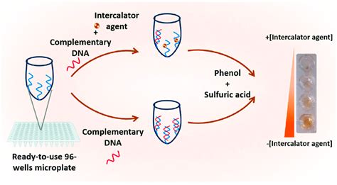 Scheme 2 Illustration Of The Colorimetric Biosensor Based On The