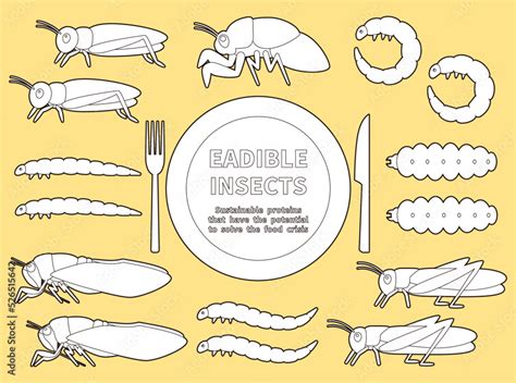 食べられる昆虫のイラストセット 白塗り Stock Vector Adobe Stock