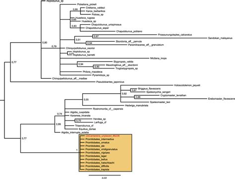 MAP Tree For Sequence Unplaced 86236 From CbCantareira As The Query Download Scientific