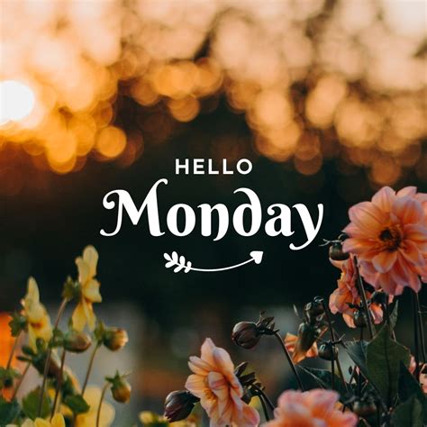 Welcome Back From The Weekend And Happy Monday Have A Great Week