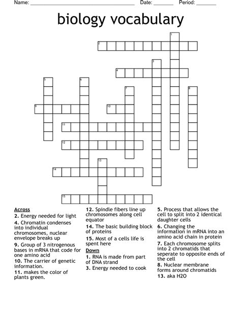 Biology Vocabulary Crossword WordMint