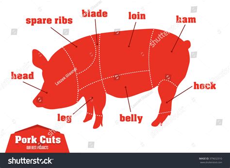 Diagram Of Pork Cuts Of Meat